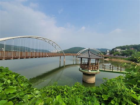 시흥에서 누리는 4색 여름 거북섬 오이도 은계호수공원 물왕호수