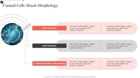 Cell Morphology Powerpoint Presentation And Slides Ppt Powerpoint