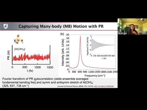 free video multiscale many body correlations and structure in