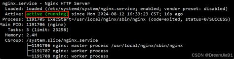 Linux 安装nginx 并配置启动 已实测linux启动nginx Csdn博客