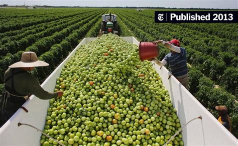 Business And Labor Unite To Try To Alter Immigration Laws The New