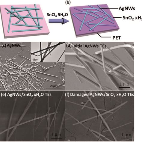 Diagram Of Electrode Structure And Sem Images A Structure Of The