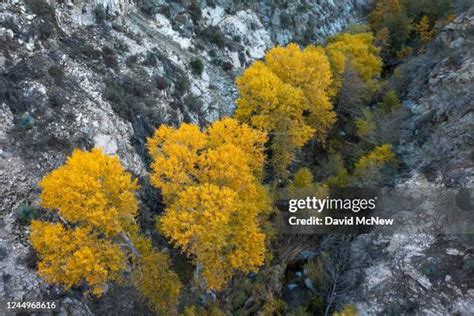 Big Tujunga Canyon Photos And Premium High Res Pictures Getty Images