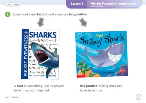 Words Factual Or Imaginative Lesson English Au
