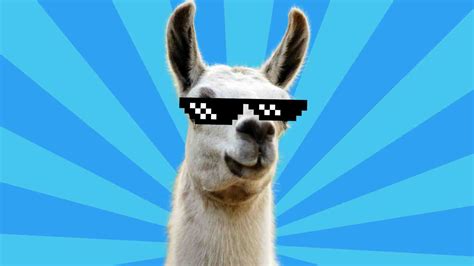 The Funniest Memes On The Internet To Get You Loling