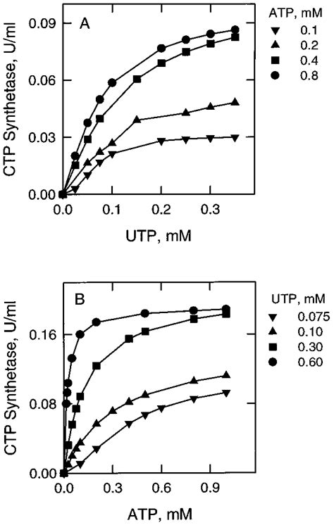 Dependence Of Ura8 Encoded Ctp Synthetase Activity On Utp And Atp Download Scientific Diagram