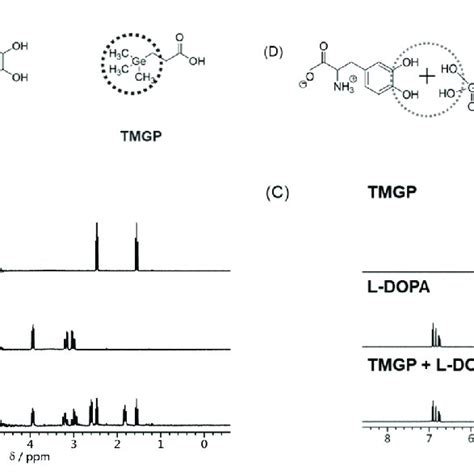 Effect Of Leaves Extracts On B16f10 Cells By L Dopa Staining