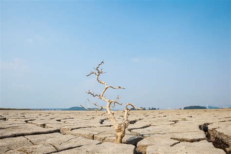 이산화탄소 잡으러 가볼까 탄소제로의 넥스트 레벨 탄소포집기술