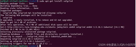 Valgrind——内存调试和性能分析工具 Csdn博客