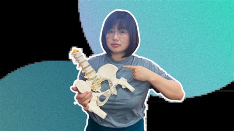 Body Alignment Training Body Alignment Training