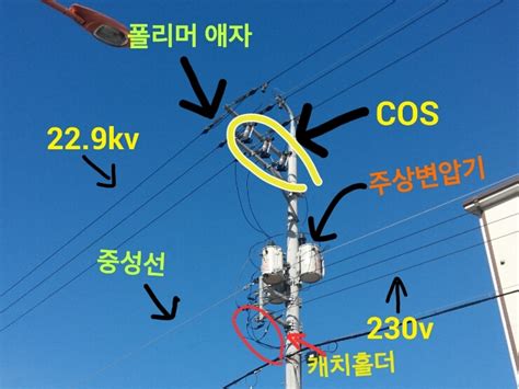 전봇대에 설치된 특고압 가공배전선로 네이버 블로그