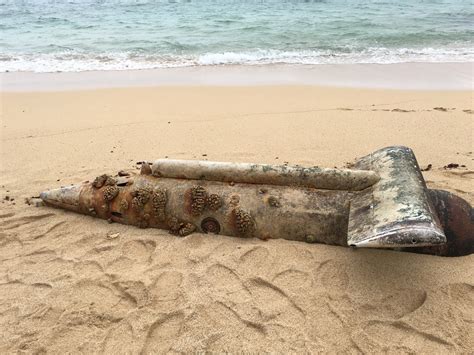 Unidentified Beach Object North Shore Maui Album On Imgur