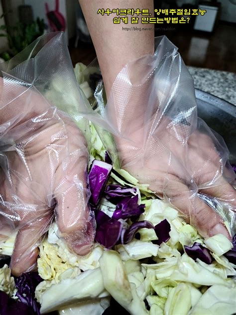 사우어크라우트 양배추절임 효능 만드는방법