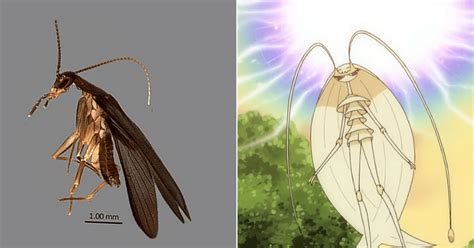 சிங்கப்பூர் புதிய வகை கரப்பான் பூச்சி கண்டுபிடிப்பு Pokemon பெயர்