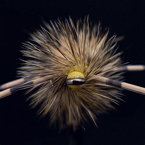 Pretty Psyched With These Spirals Cree Hackle Throughout Sz12 Fh718 If Im Being Picky