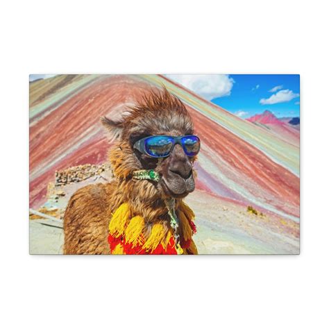 Funny Alcapa Silly Alcapa Inside Outside Wall Art Ready To Hang Unframed