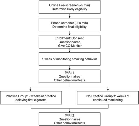 Flow Chart Of Enrollment Interventions And Assessments Download
