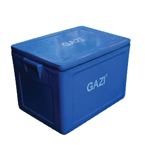 Ice And Cool Box 200 Ltr Esmart Bangladesh