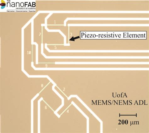 Microscopic Image Of The Fabricated Ten Element Sensing Rosette
