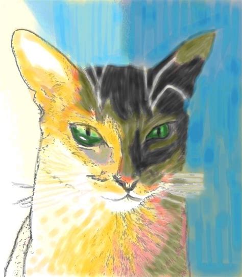 Cat By Katja L On Colorized Pretty Cats Cat Sketch Cats And Kittens