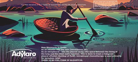 Bleomycin Is Used To Treat Cancer It Works By Slowing Or Stopping The