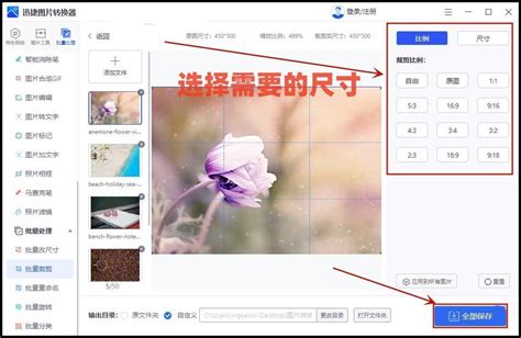 如何批量裁剪成相同大小的图？这3招帮你轻松搞定图片处理工具