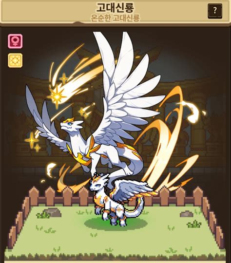 드래곤빌리지 컬렉션