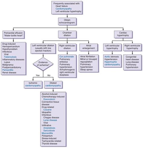 Clinalgounfig029 Echocardiogram Aortic Stenosis Algorithm