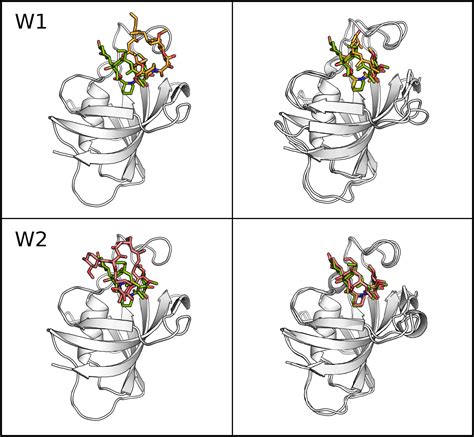 Molecular Dynamics Of Biomolecules Theoretical Biophysics T38 Biomolecular Dynamics