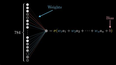 Fourier Transform In Neural Networks Weights Biases