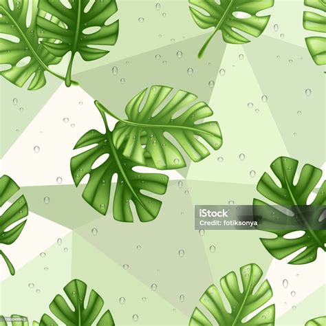 여름 배경입니다 열 대 야자수 잎 정글 나뭇잎 원활한 벡터 꽃 패턴입니다 열 대 완벽 한 패턴입니다 몬스 테라 물 방울 0명에 대한 스톡 벡터 아트 및 기타 이미지 Istock
