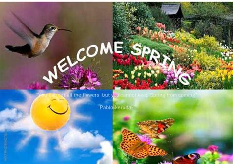 Spring Poster Picture Description English Esl Worksheets Pdf And Doc