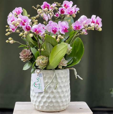 Ti U H I P T M H Ng Mix Hoa Sen P V Ngh A Hoa T I Hoa M D Ch V Hoa T I Uy T N