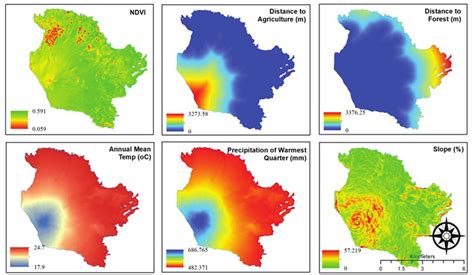 Environmental Predictor Variables Of Bee Nesting In Mt Banahaw De Lucban Download Scientific