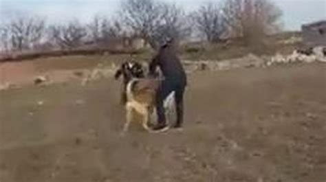 Mohmad Reza فیلو