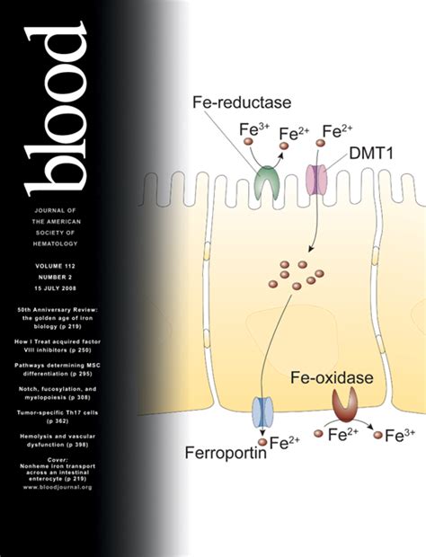 Response Improving Classification In Cvid Blood American Society