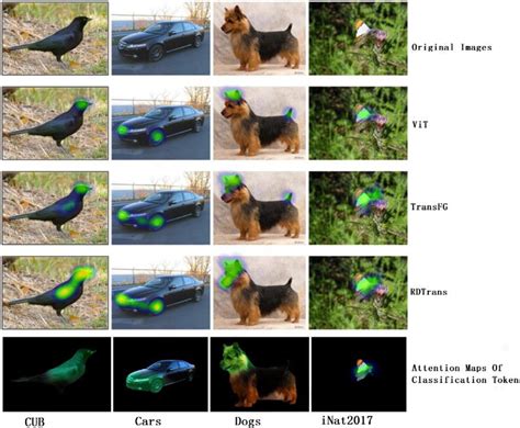 Loop And Distillation Attention Weights Fusion Transformer For Fine