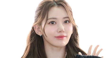 사쿠라 만개한 벚꽃 미모