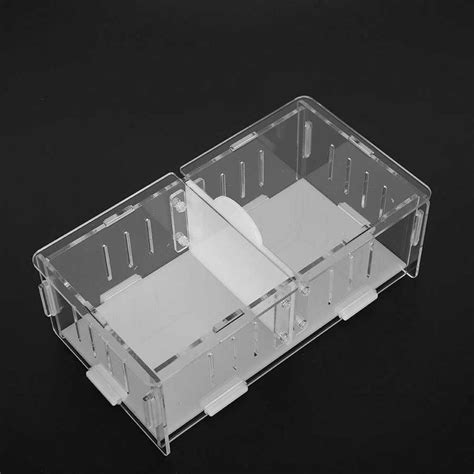 Acrylic Insects Box Reptile Box Reptile Breeding B Vicedeal