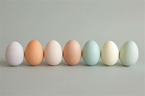 Premium Photo Creating A Minimalist And Aesthetic Visual Experience With Simple Easter Eggs