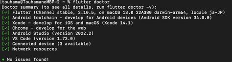 flutter doctor 実行時のエラー unable to find bundled java version