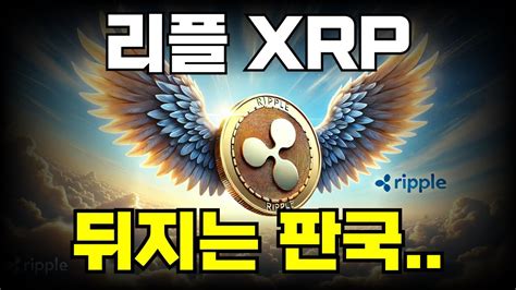 리플 Xrp 와 이거 지금 어떻게 해야 되죠 리플 리플전망 리플속보 코인추천 Youtube