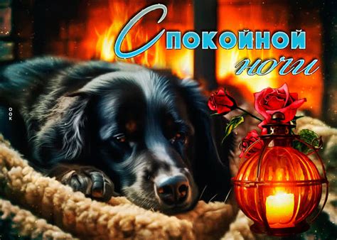 Романтичная гиф открытка с песиком Спокойной ночи Скачать бесплатно на