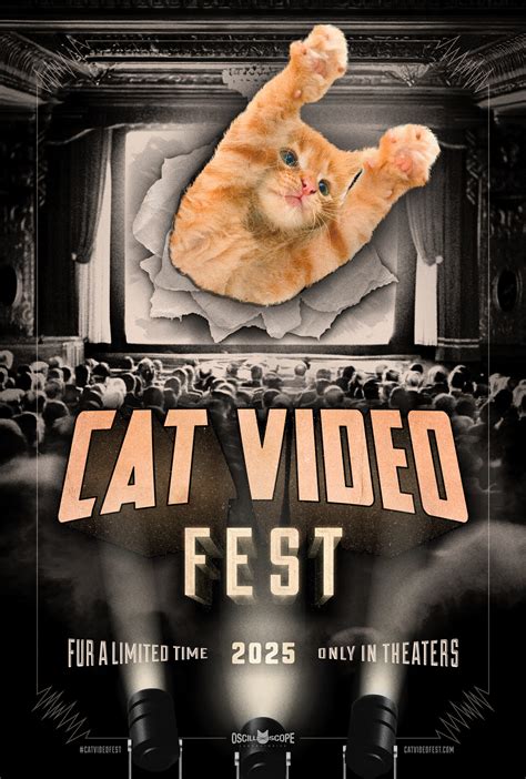 Cat Video Fest 2025 7pm Tomorrow Theater