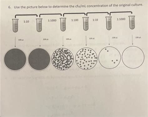 Solved 6 Use The Picture Below To Determine The Cfu ML Chegg Com