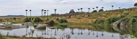 Monumento Natural De Los Barruecos Malpartida De Cáceres Cáceres