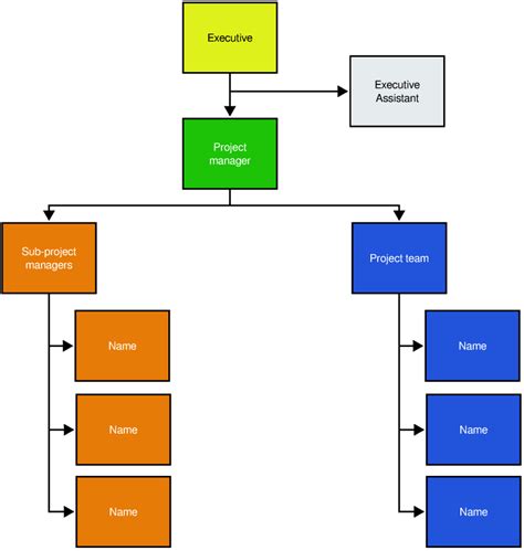 Project Organization Diagram Sas A The Schematic Diagram Of