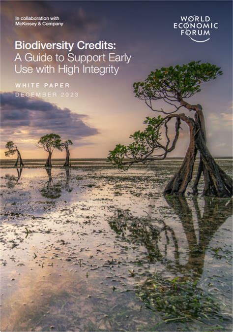 Biodiversity Credits A Guide To Support Early Use With High Integrity