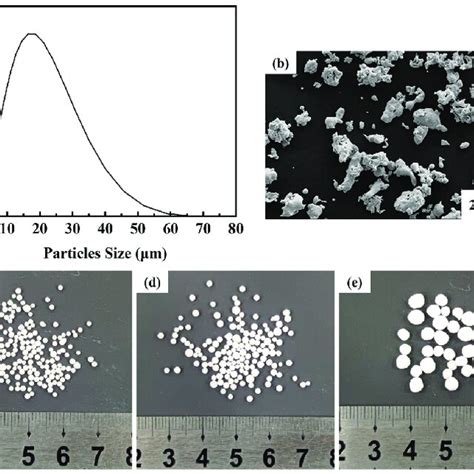 a particle size distribution of steel powder b microscopic