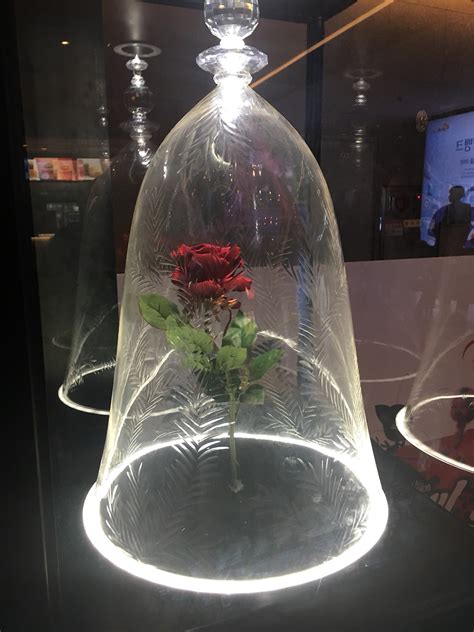 미녀와야수 유리돔과 장미